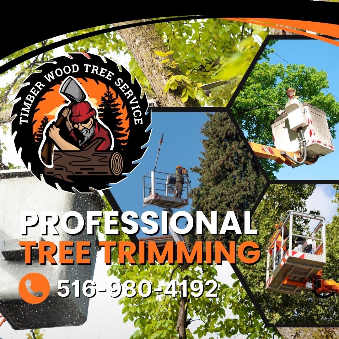 Timber Wood Tree Service | Tree Trimming | Queens & Long Island