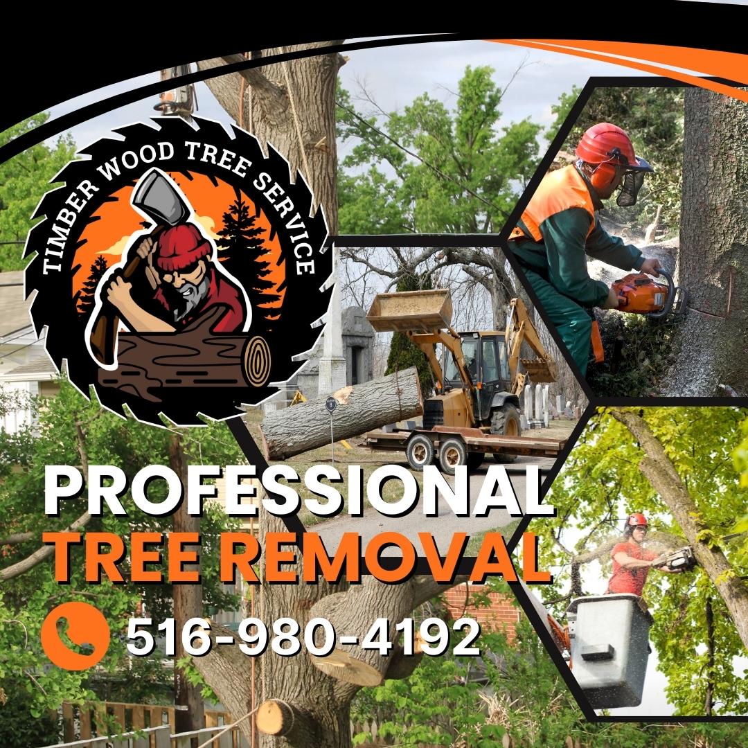 Tree Removal In Long Island, NY | Timber Wood Tree Service