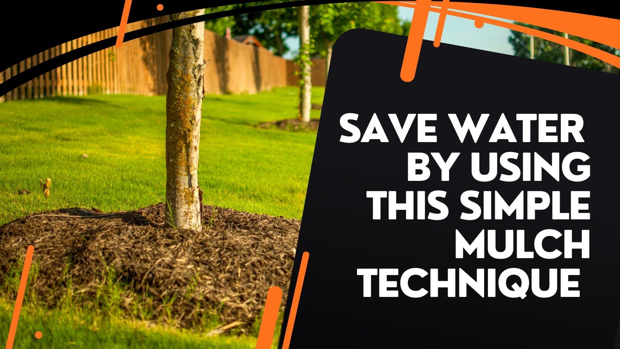 Save Water With Tree Mulch This Summer | Timber Wood Tree Service
